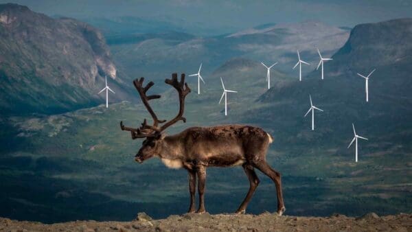 Europe nearly lost one of its most promising wind farms before it even ...